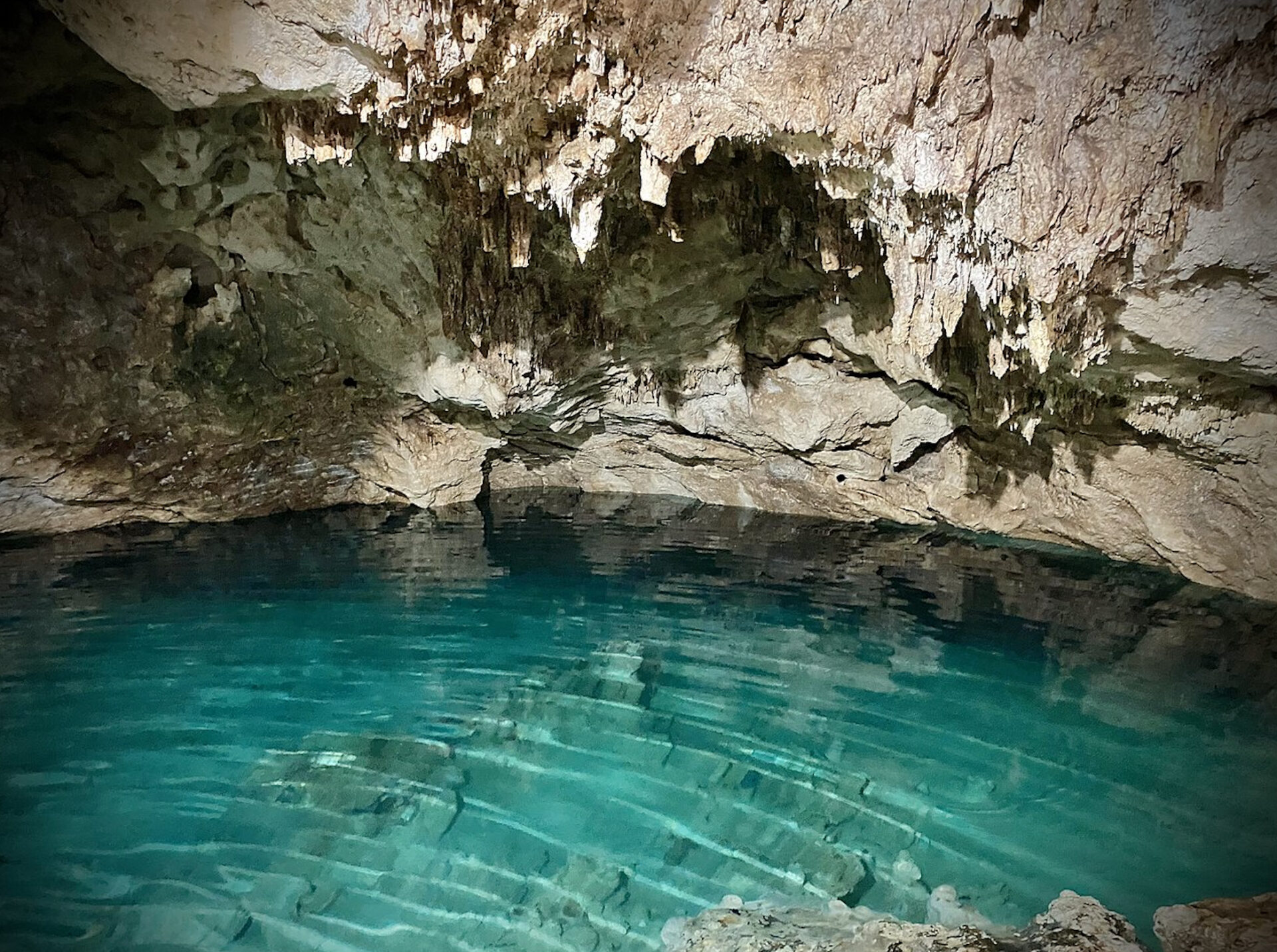 Best Cenotes of Mexico - The Tejana Abroad